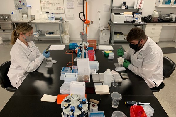 Biological Sciences | Undergraduate | Bridgewater State University