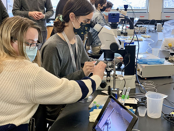 Masters Degree in Biological Sciences | Bridgewater State University